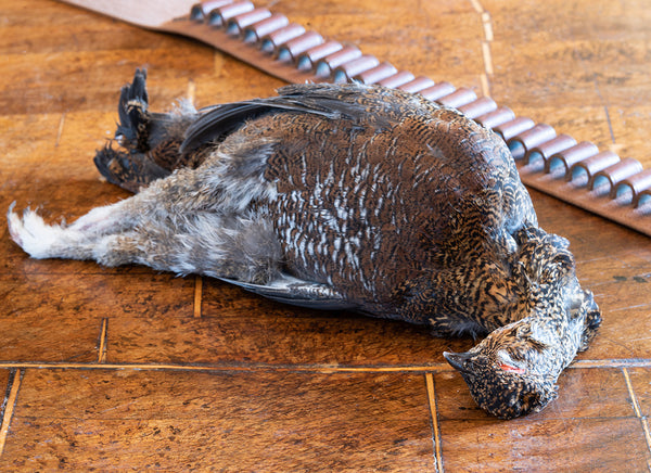 Buy Grouse online | Wild Meat Company