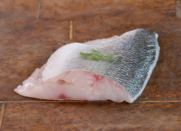 Wild Bass (Dicentrachus labrax) – Wild Meat Company