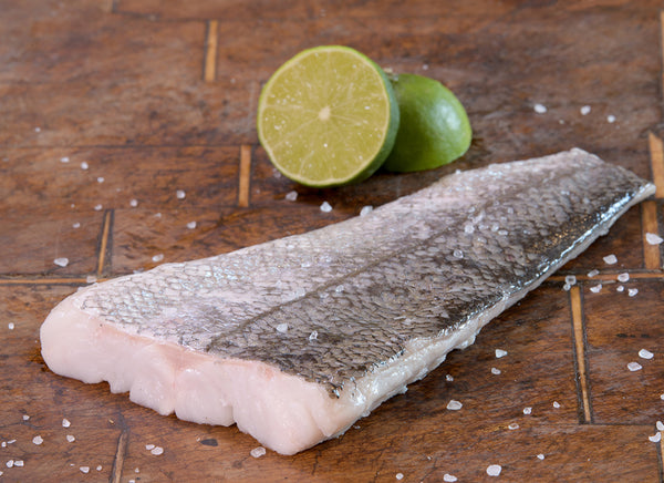 Hake Fillet (Merluccius merluccius) – Wild Meat Company