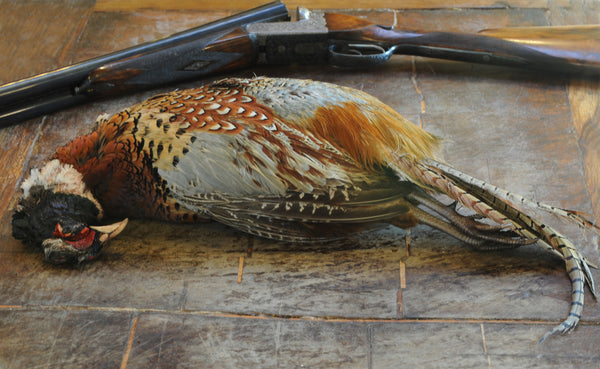 Buy Whole Pheasant online | Wild Meat Company