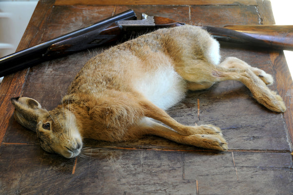 Buy Hare online | Wild Meat Company